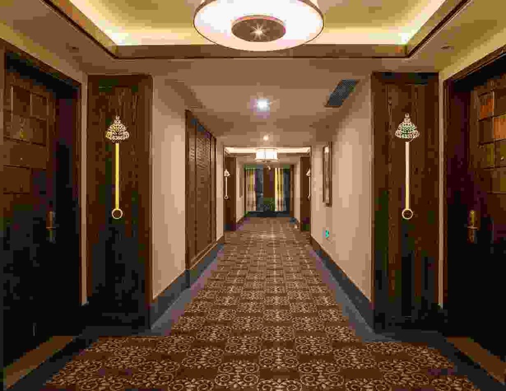Multi-Sensory Storytelling for Kindergarten – The Apricot Tree Hotel