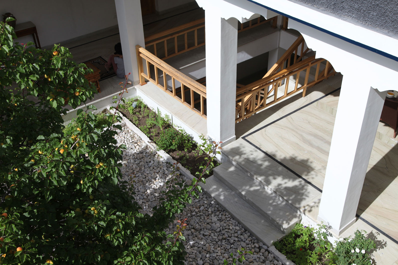 The Apricot Tree Hotel – Ladakh
